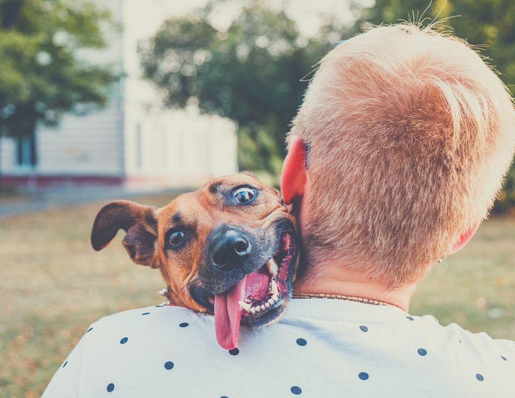 8 Effective ways To Calming Down A Hyper Dog | Awoken K9