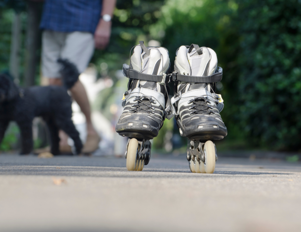 Rollerblading With Dog Made Easy | AwokenK9.com